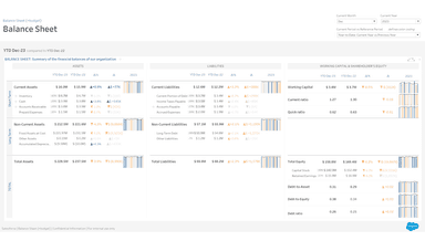 Balance Sheet (+Budget) | Tableau Exchange