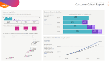 Customer Cohort Analysis | Tableau Exchange