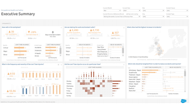 Occupational Health And Safety | Tableau Exchange